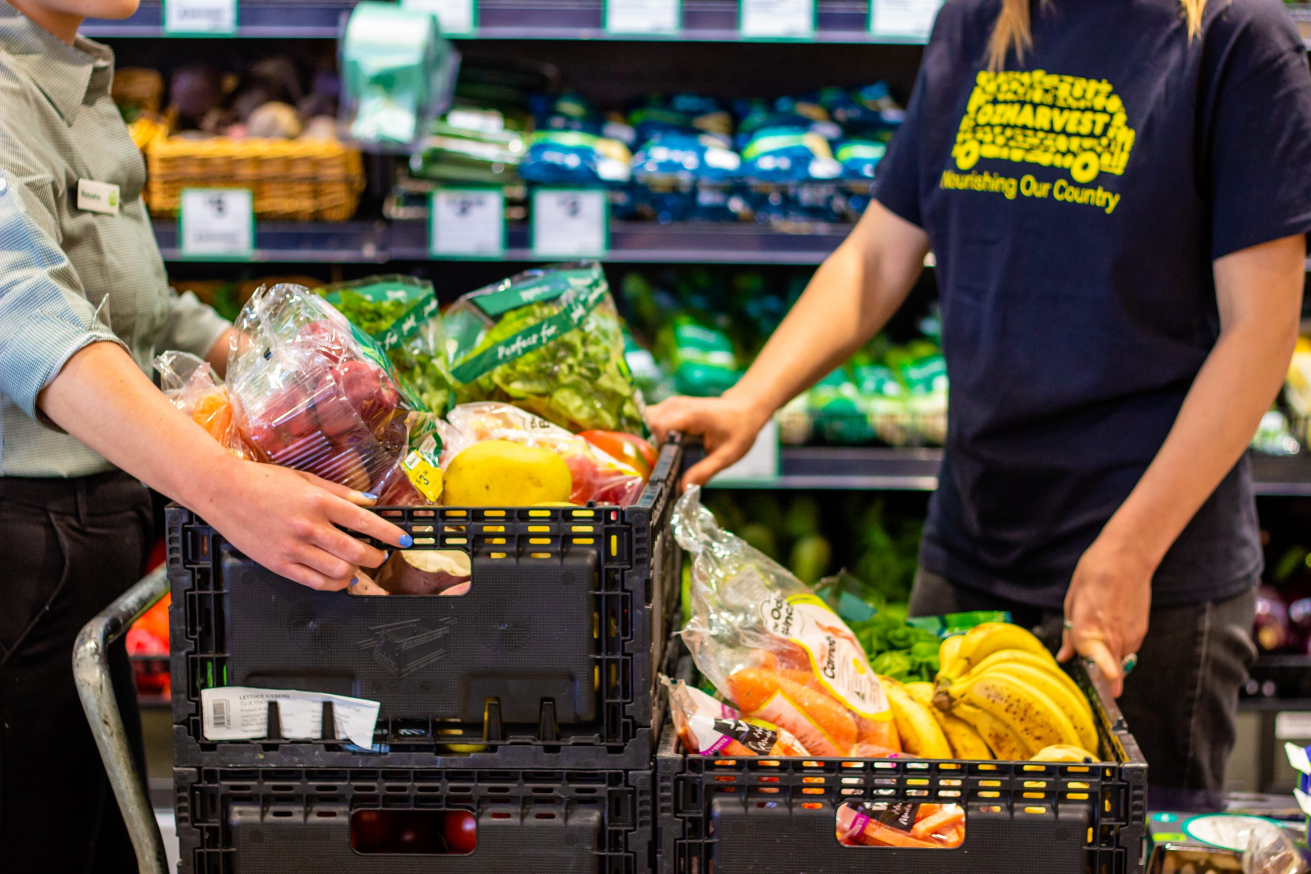 What Does OzHarvest Do How We Help Nourish Australia What Does OzHarvest Do How We Help Nourish Australia