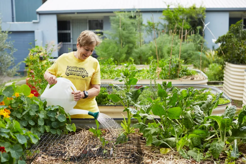 OzHarvest Volunteer | Find out how to become a volunteer with us